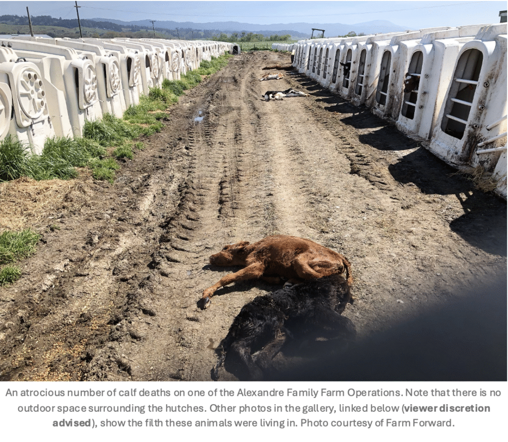 The Anatomy of a Scandal: Abject Failure by USDA to Protect Organics ...
